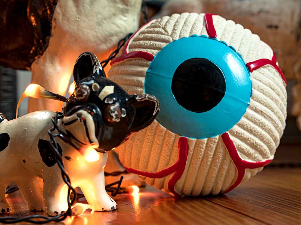 Ruff-Tex Extremely Durable and Squeaky Eyeball