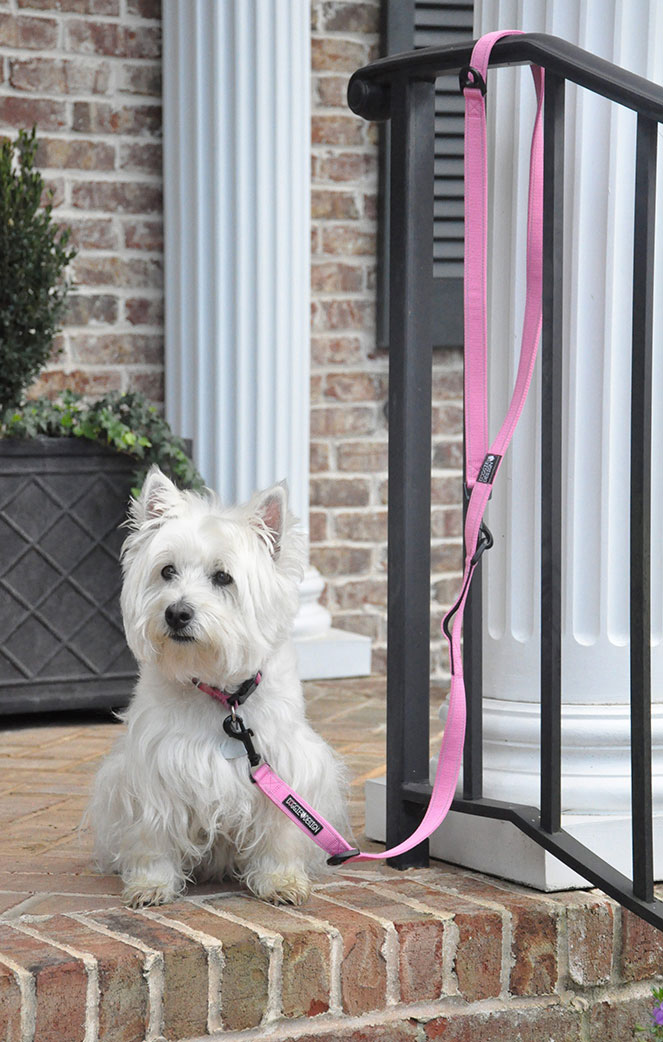 6 Way Multi-Function Dog Leash