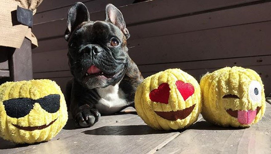 Emoji Tuff Ball Toy - 3 Pack