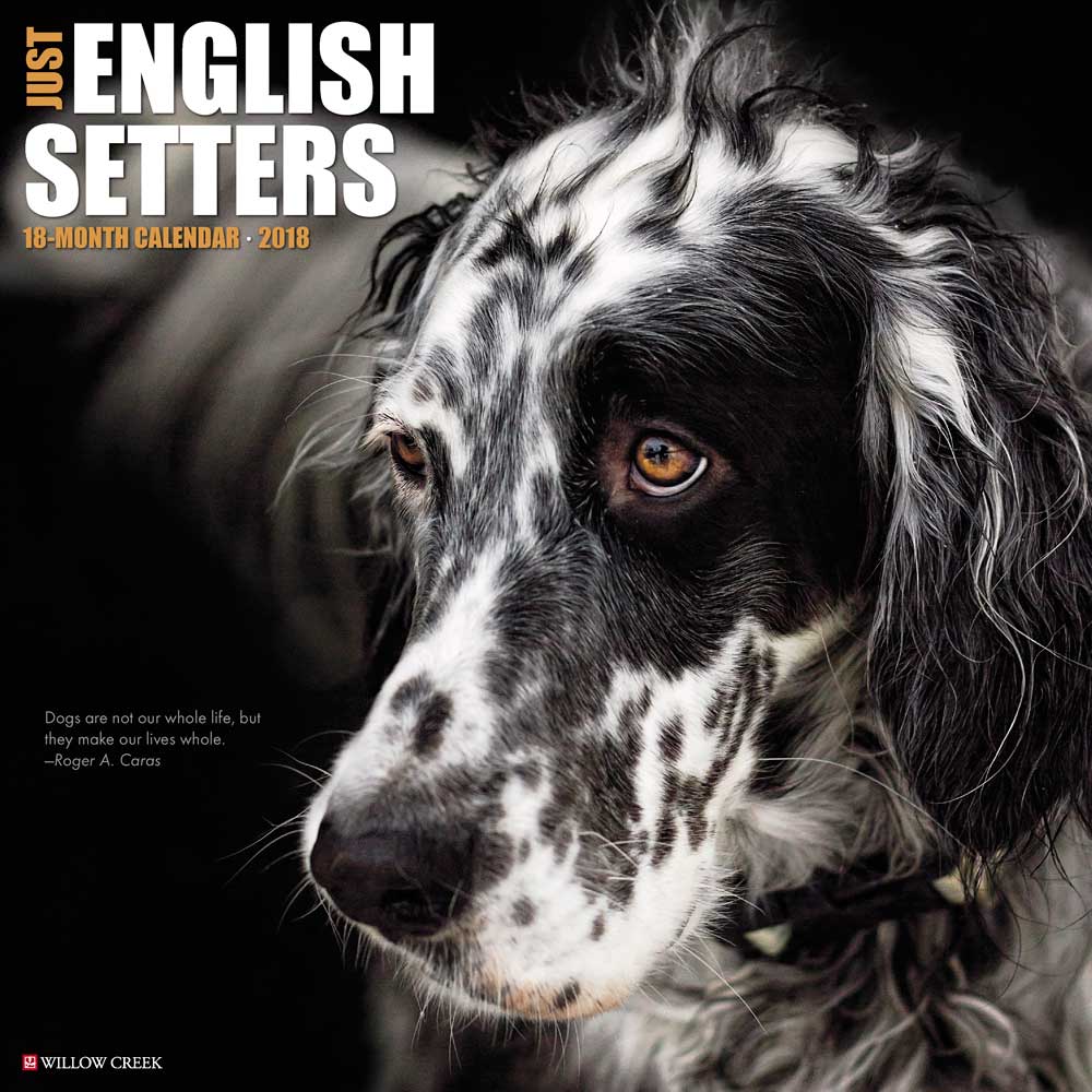 2018 Just English Setters Wall Calendar