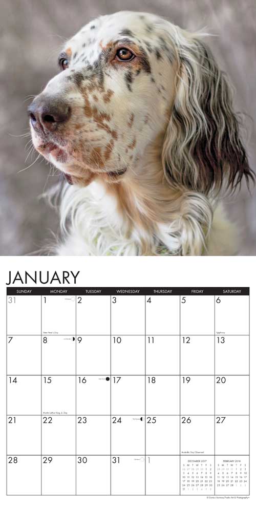 2018 Just English Setters Wall Calendar