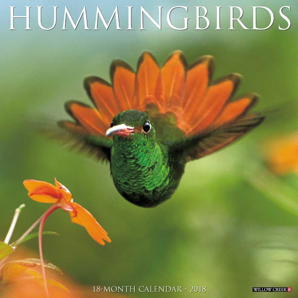 2018 Hummingbirds Wall Calendar