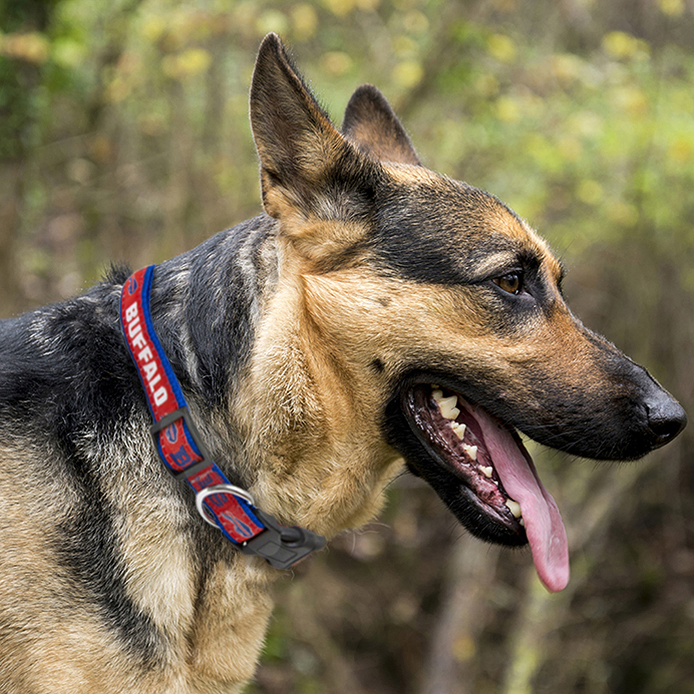 NFL Buffalo Bills Dog Collar