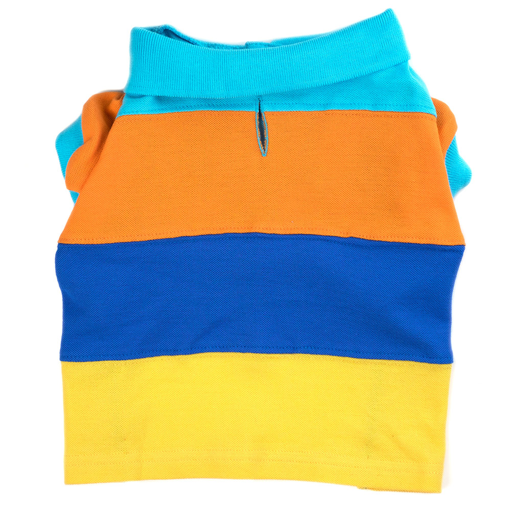 Primary Colorblock Polo