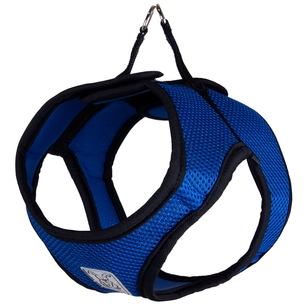 Step In Cirque Harness - Cobalt