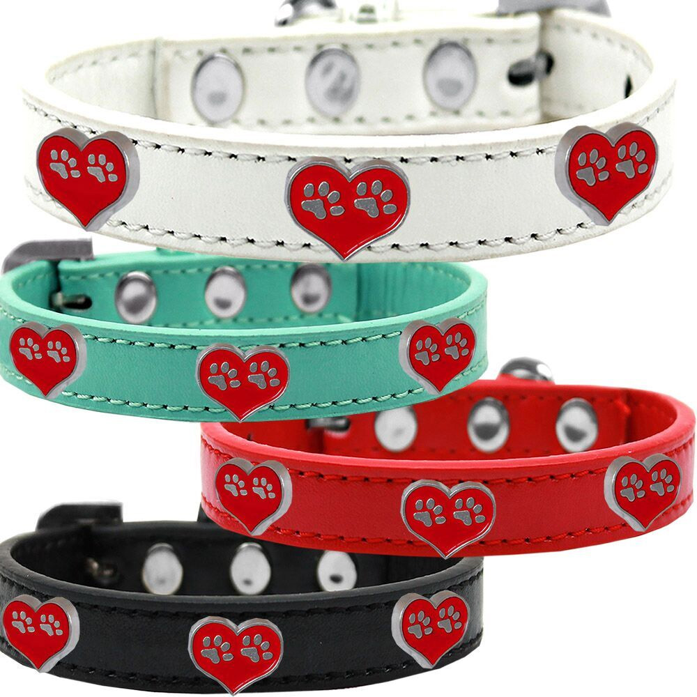 Paw Heart Widget Dog Collar