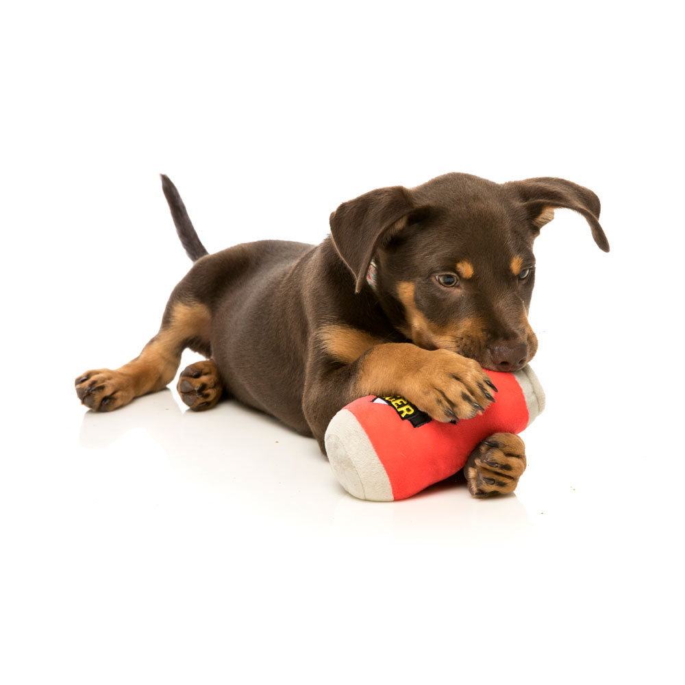 Beer Dog Toy by FuzzYard