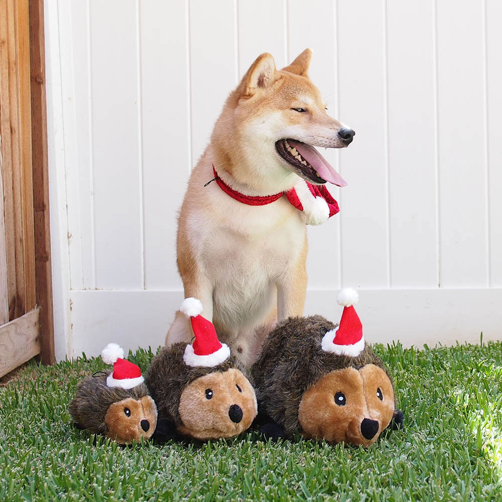 Christmas Hedgehogs