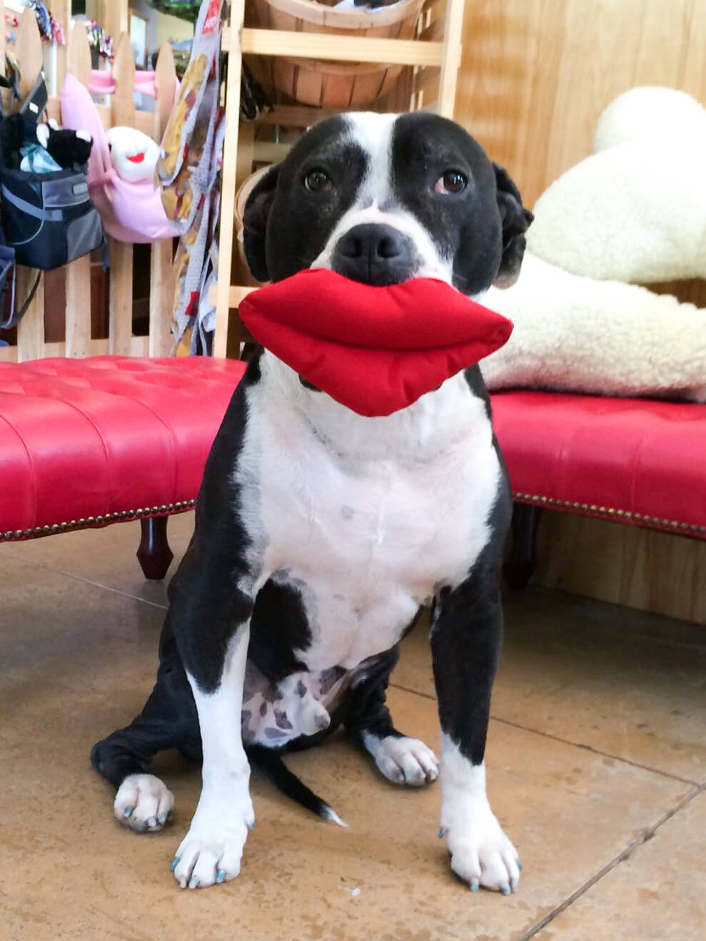 Big Red Lips Toy
