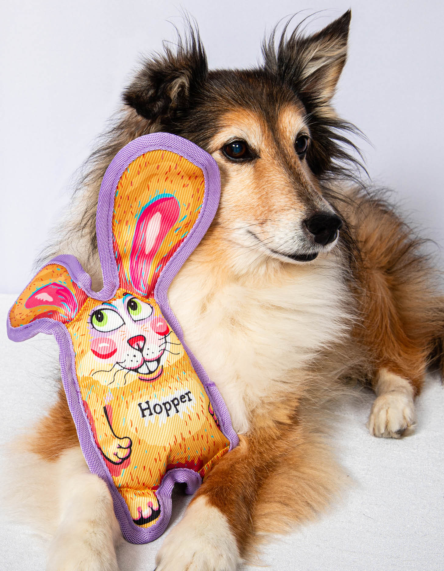 Hopper Medium Dog Toy - All Ears - 3 Toys