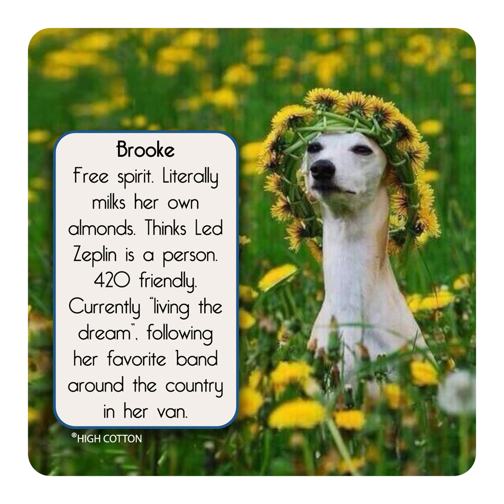 Brooke - Dog Dating Coaster