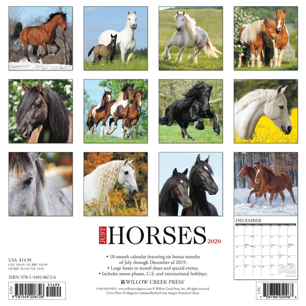 Horses 2020 Wall Calendar