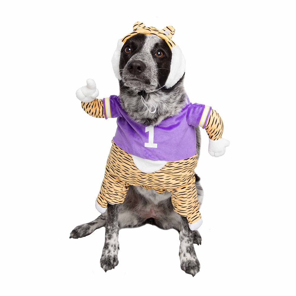LSU Lucky Dog Mascot Costume