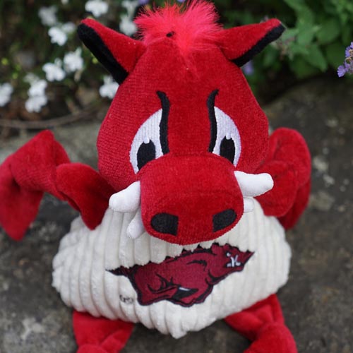 Tusk the Razorback Knottie