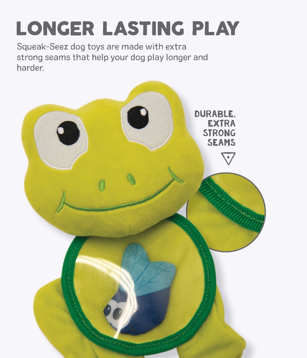 Squeak-Seez Frog Toy