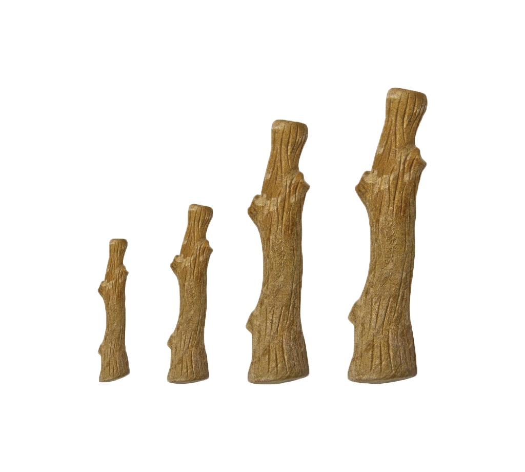 Dogwood Stick