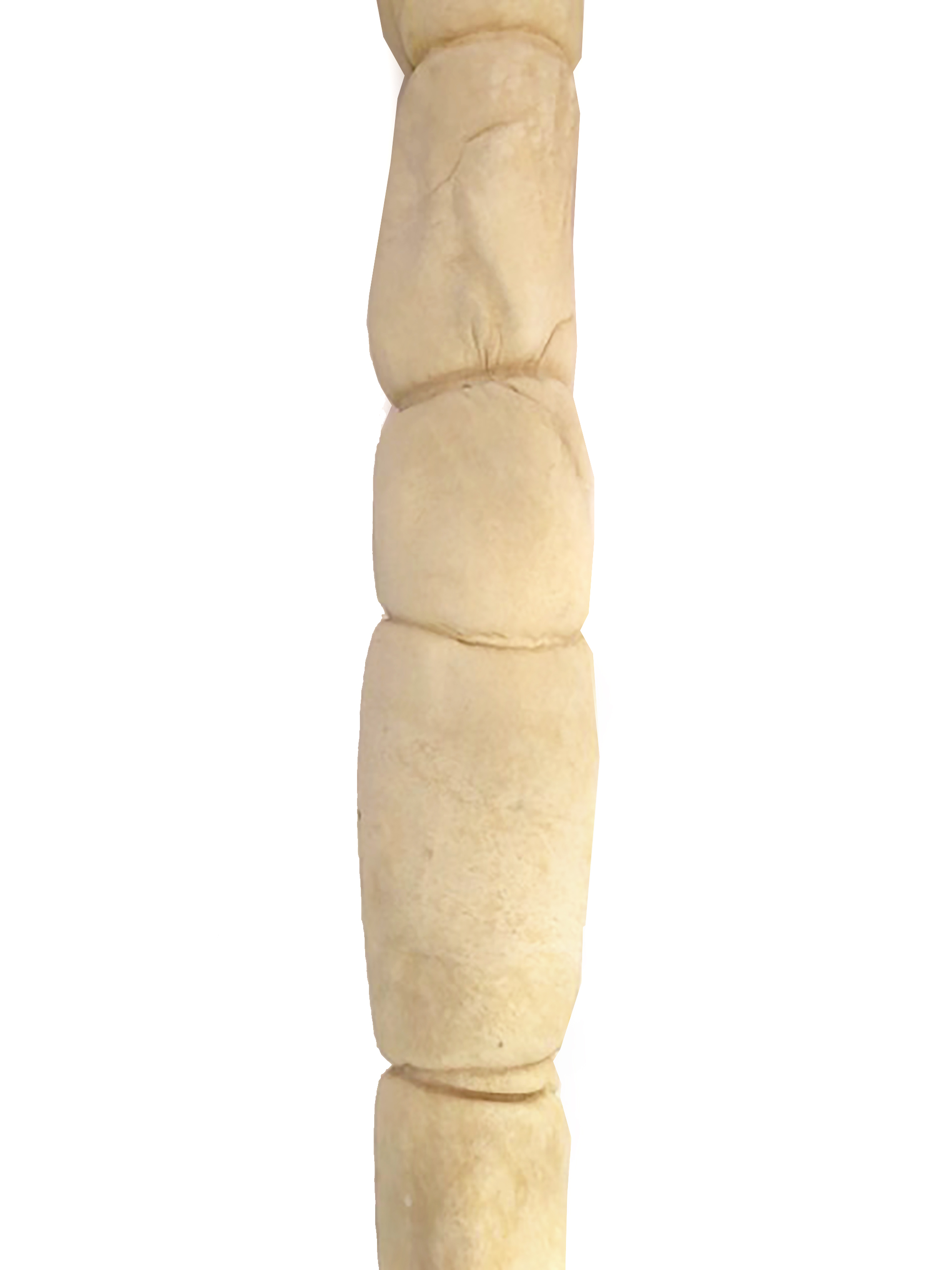 Penny Pet Buffalo Cheek Roll 6" & 12" regular and flavored