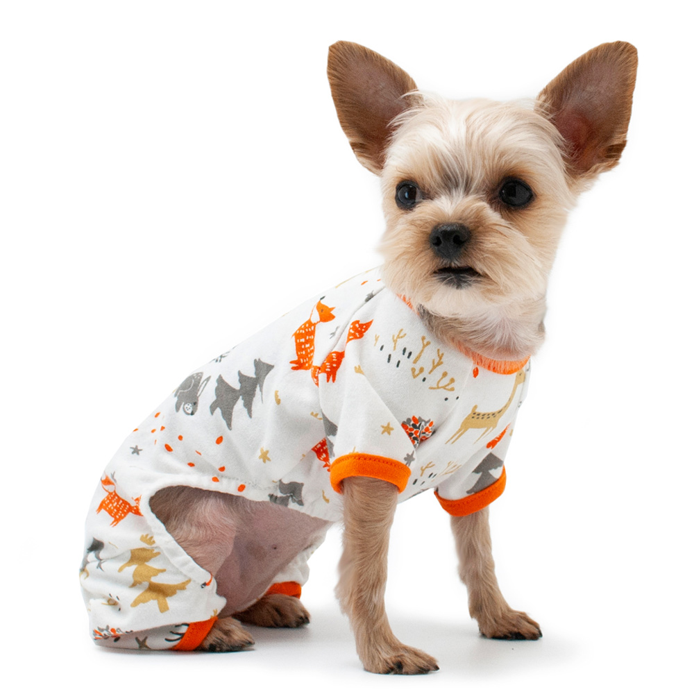 DOGO PJ Winter Forest