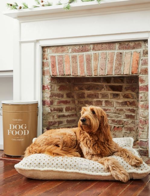 Stargazer Envelope Bed