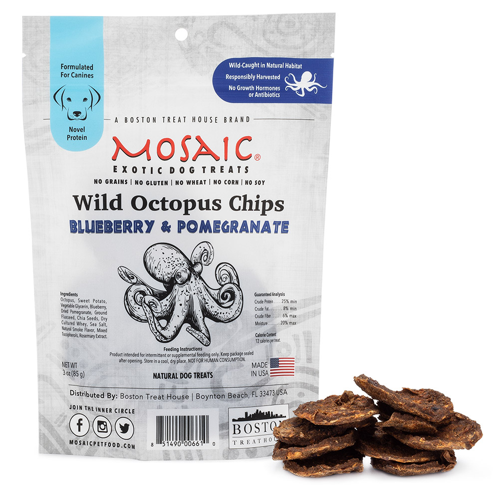 Wild Octopus Chips | Blueberry & Pomegranate (3 oz. packages)