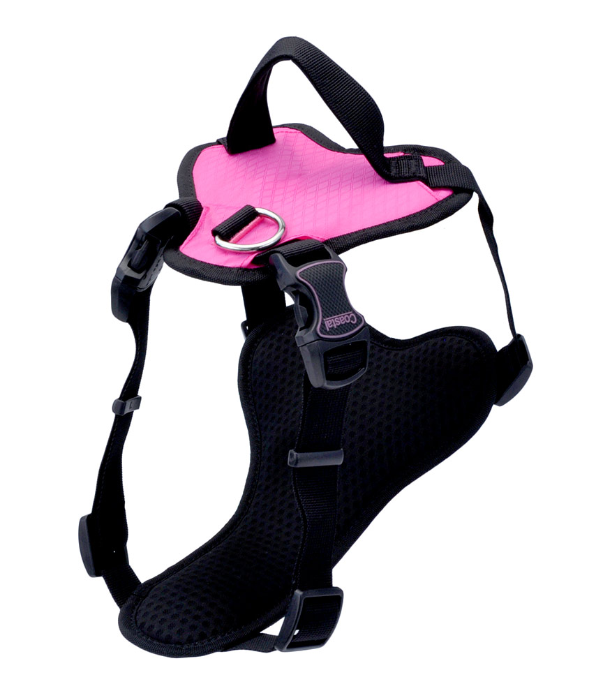 Inspire Harness Display (48 pieces)