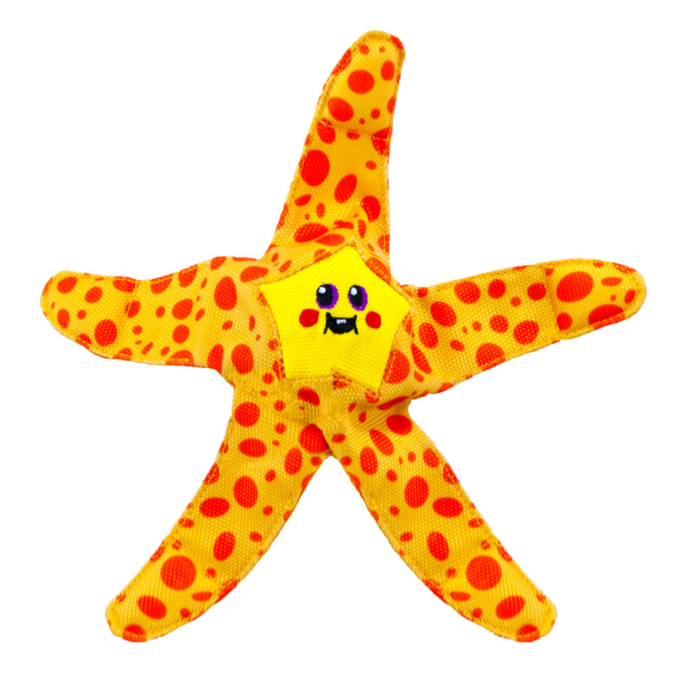 Floatiez Starfish Pet Toy