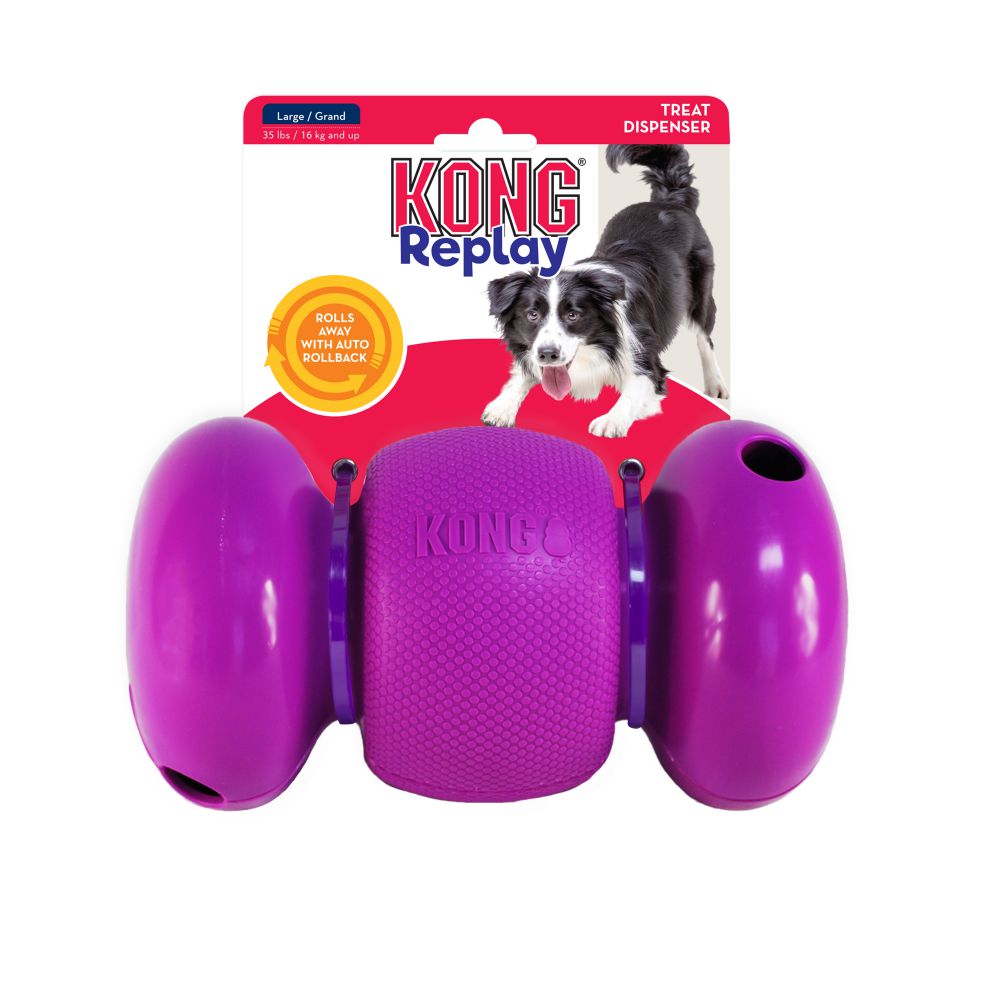 KONG® Replay - Dynamic Action Dog Toy