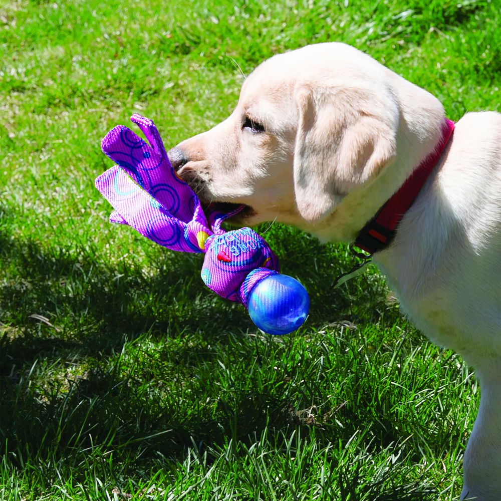 KONG® Wubba™ Cosmos Dog Toy - Assorted Colors