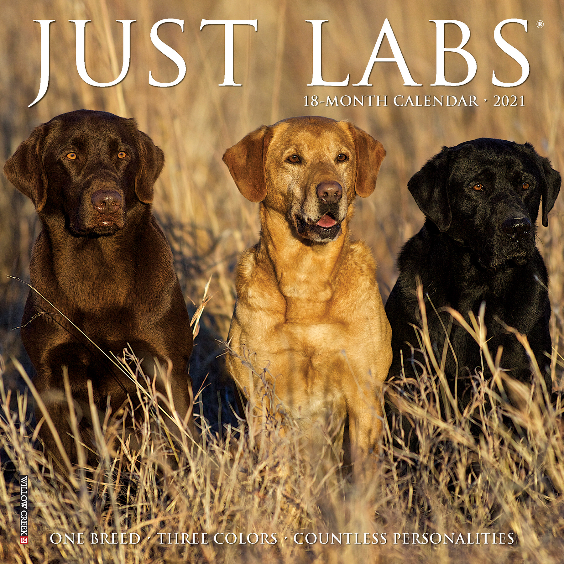 Labs 2021 Mini Calendar