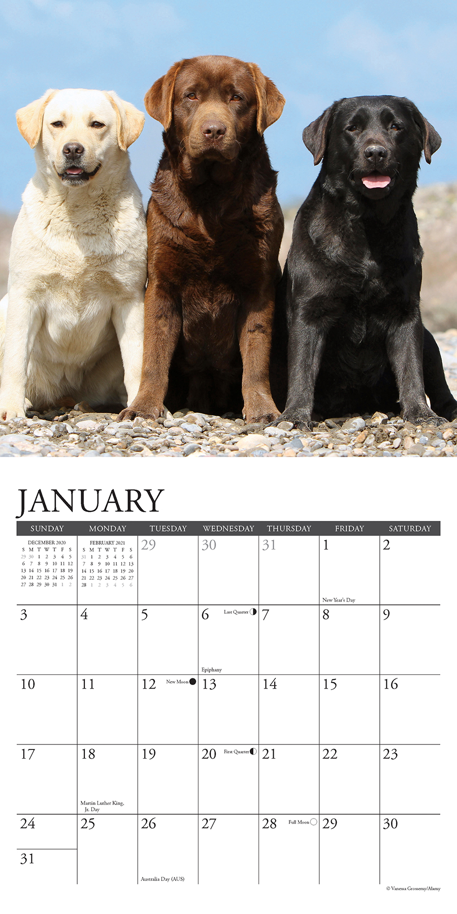 Labs 2021 Mini Calendar