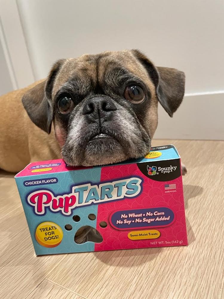 PupTarts - Chicken Flavor Treats by Spunky Pup
