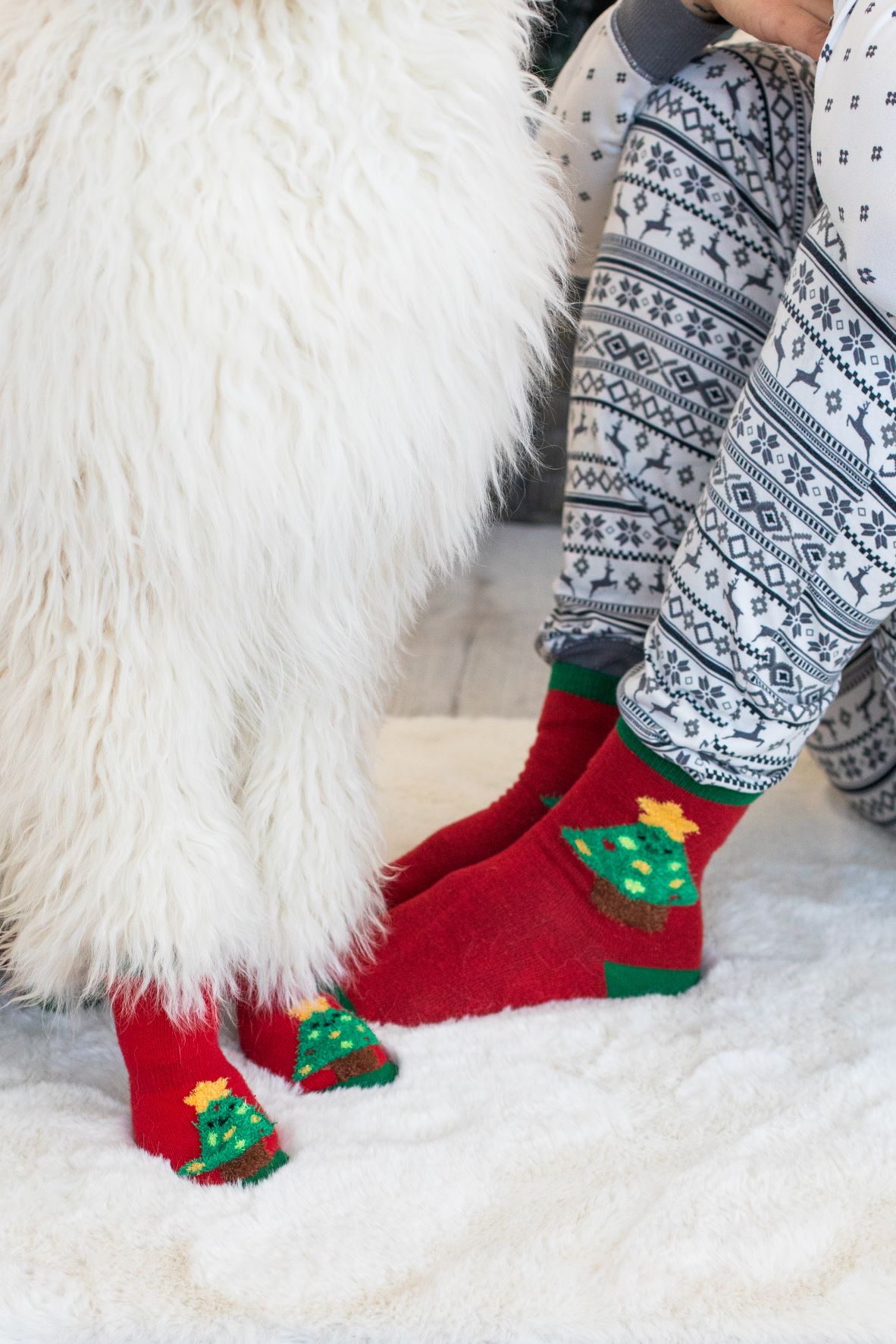 Human and Dog Sock Set Holiday Tree by Pearhead
