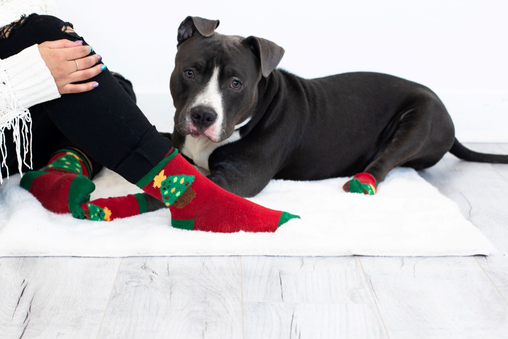 Human and Dog Sock Set Holiday Tree by Pearhead