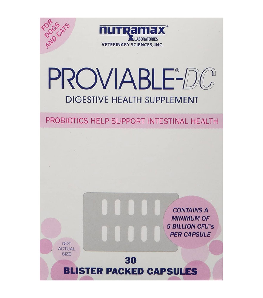 Proviable DC - Digestive Health Supplement