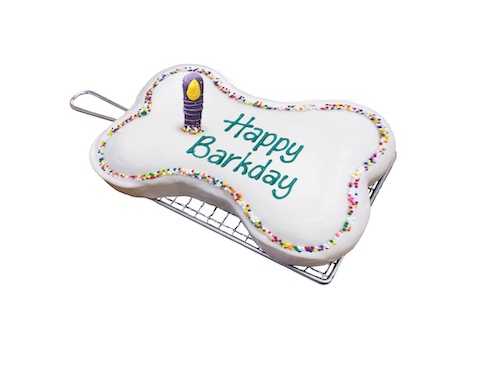 Bake Your Own Barkday Cake, 6/Case, Happy Bark-Day
