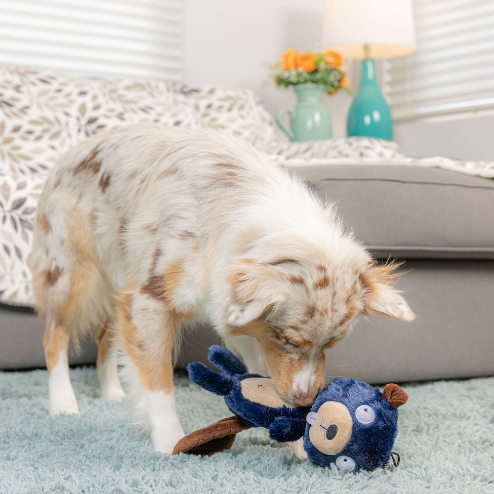 Justin Beaver Dog Toy