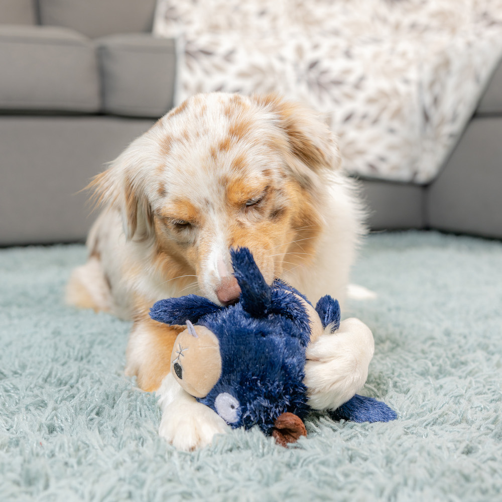 Justin Beaver Dog Toy