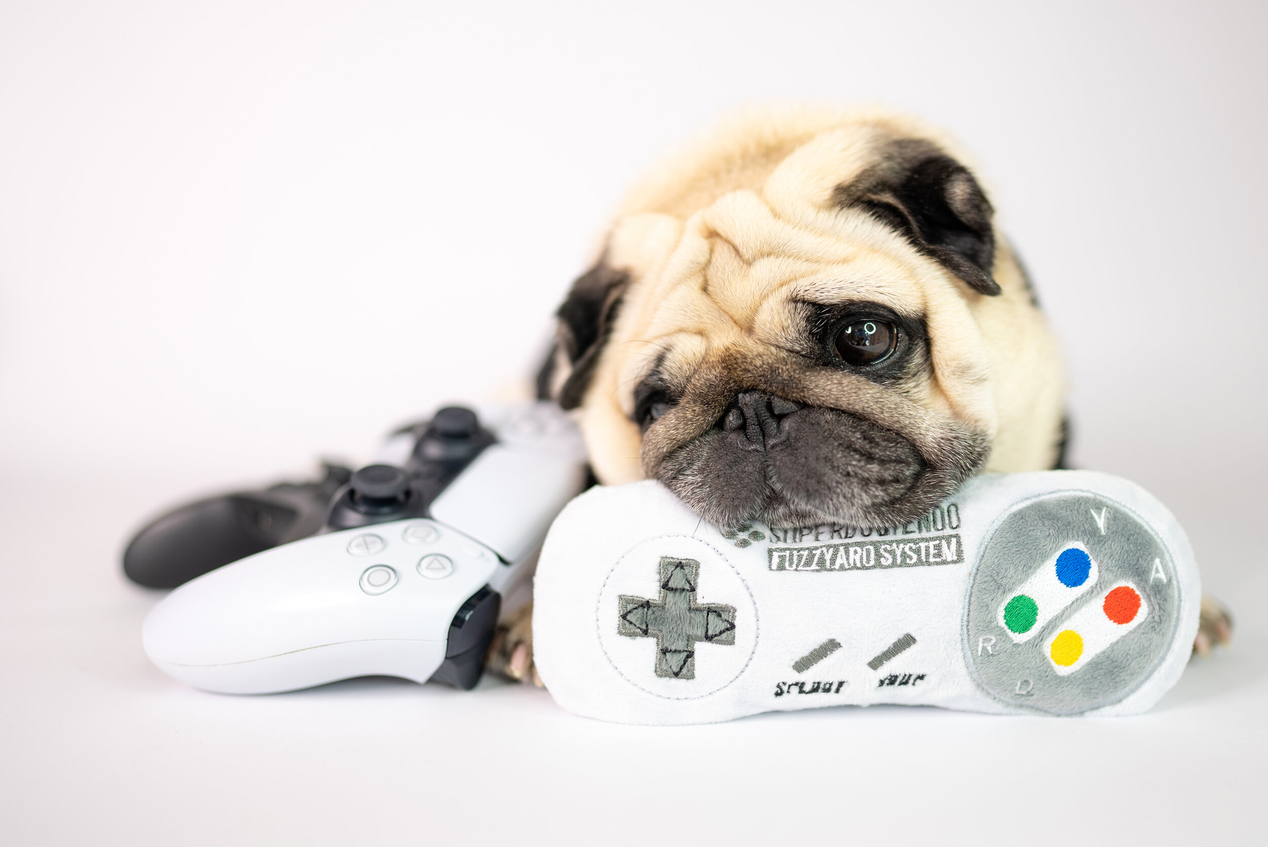 Dog Toy - Controller