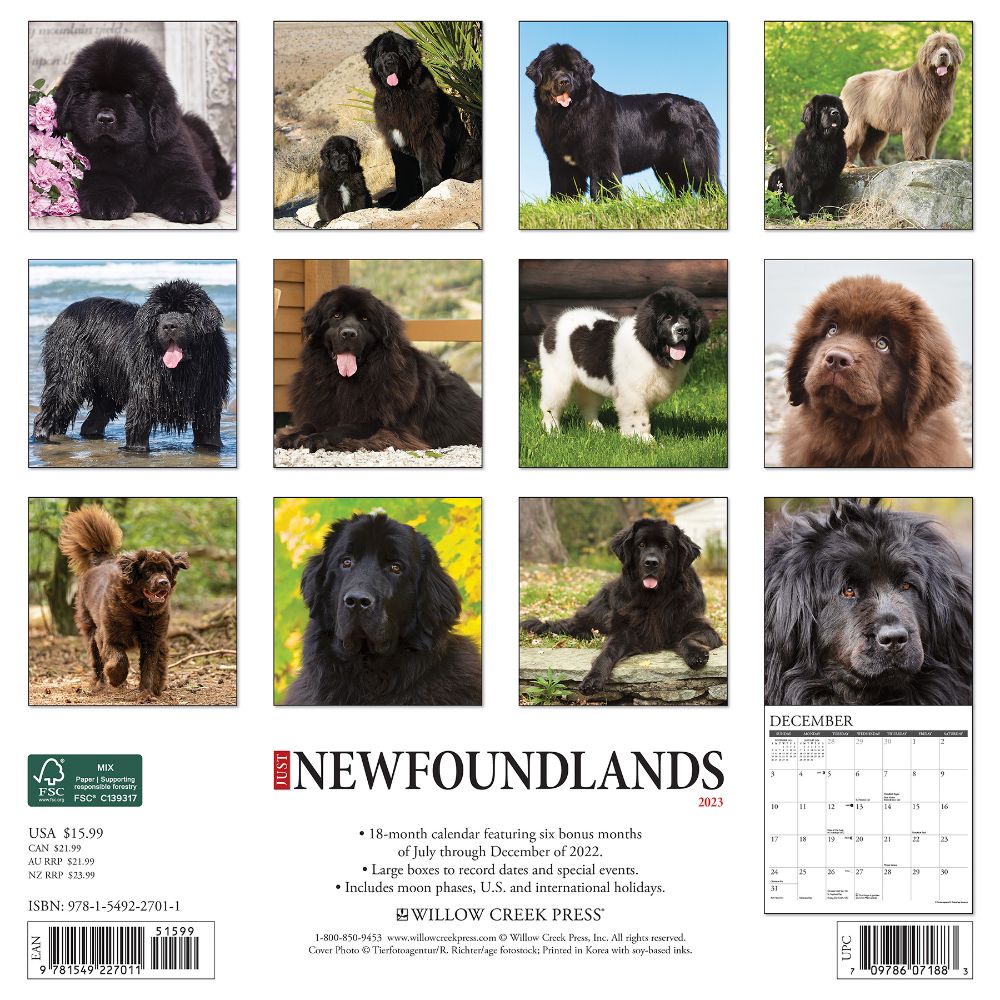 Newfoundlands 2023 Wall Calendar