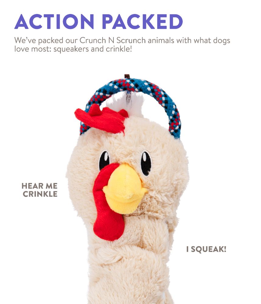 Charming Pet Crunch N Scrunch Chicken Dog Toy