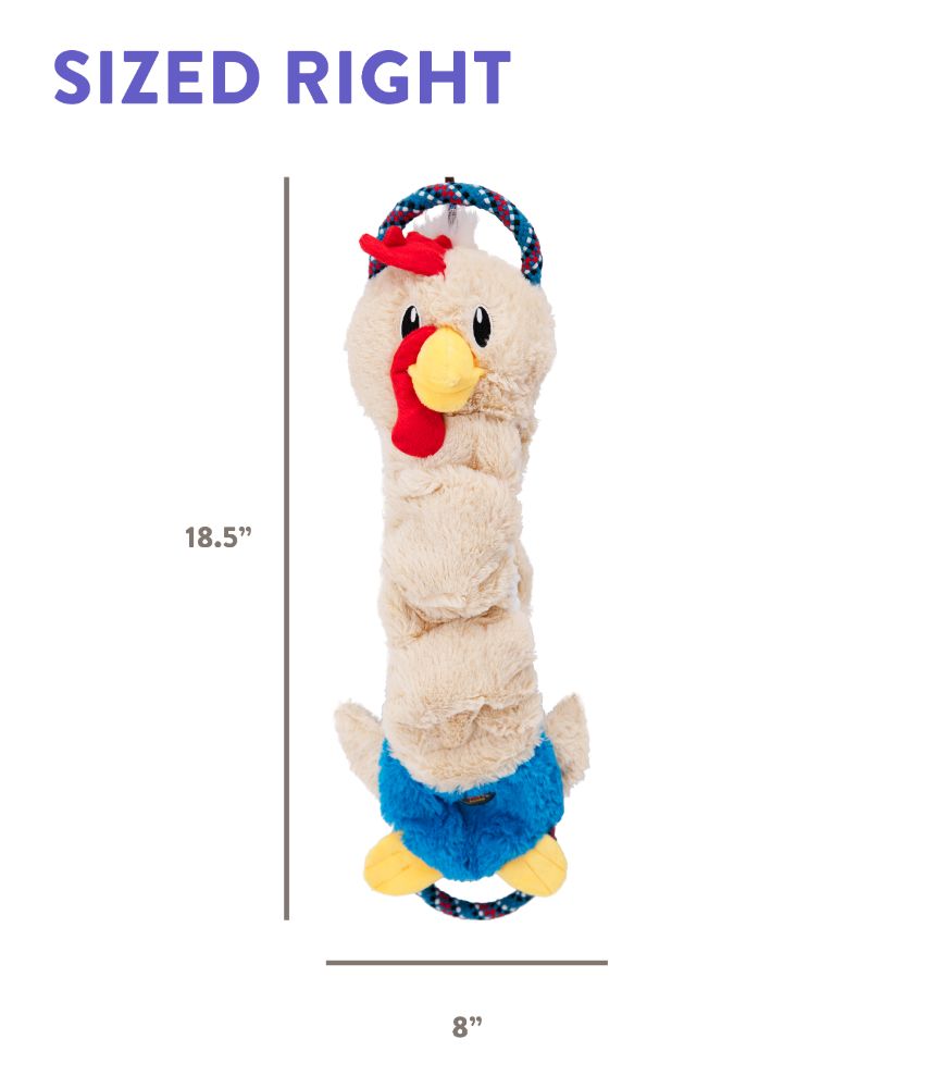 Charming Pet Crunch N Scrunch Chicken Dog Toy