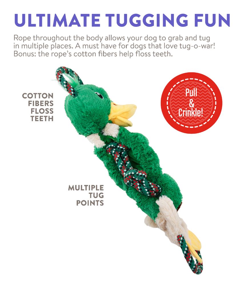 Charming Pet Crunch N Scrunch Mallard Duck Dog Toy