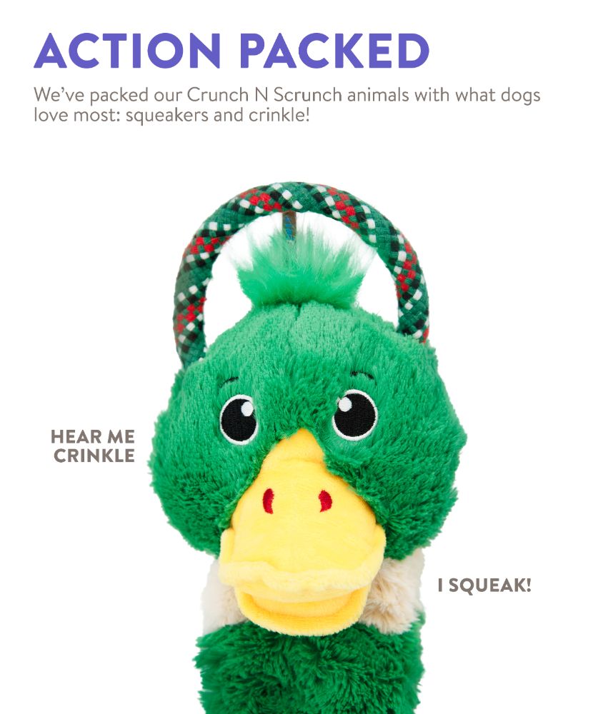 Charming Pet Crunch N Scrunch Mallard Duck Dog Toy
