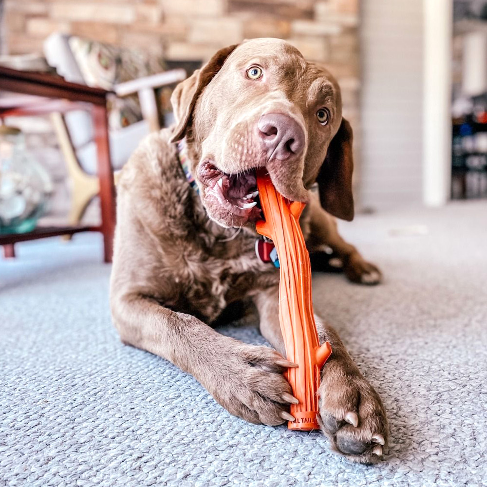 Tall Tails Rubber Stick Toy 12"