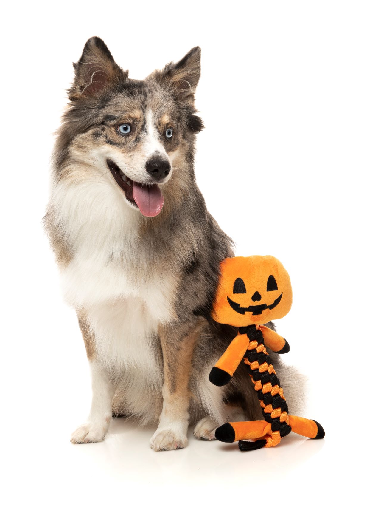 Percy Pumpkin Rope Dog Toy by FuzzYard