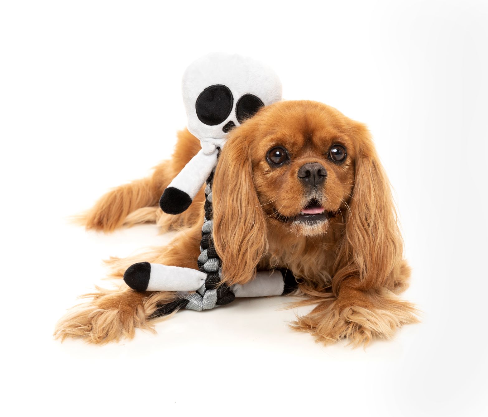 Scully Skeleton Rope Dog Toy by FuzzYard