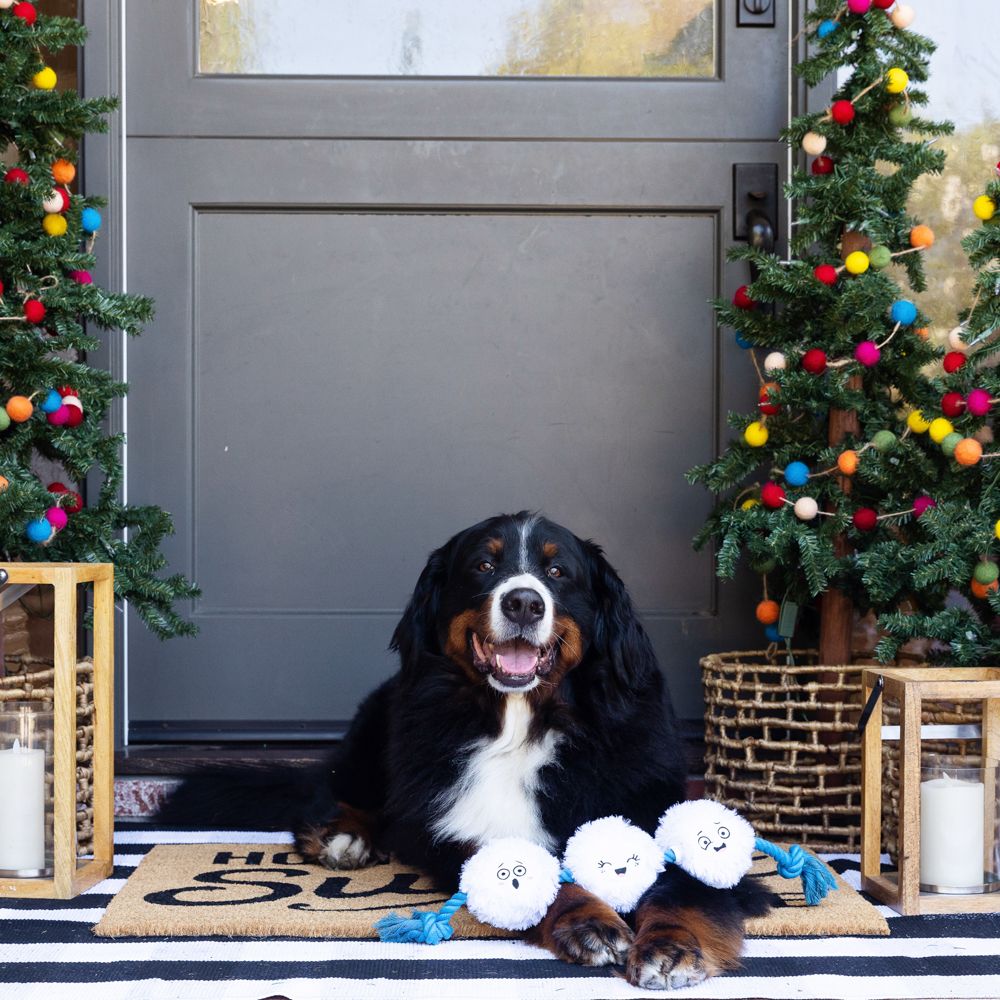 Snow Time For Fun Plush Dog Toy