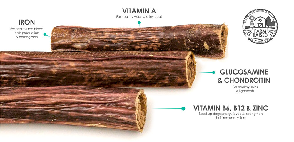 6 inch Beef Stuffed Gullet Stick