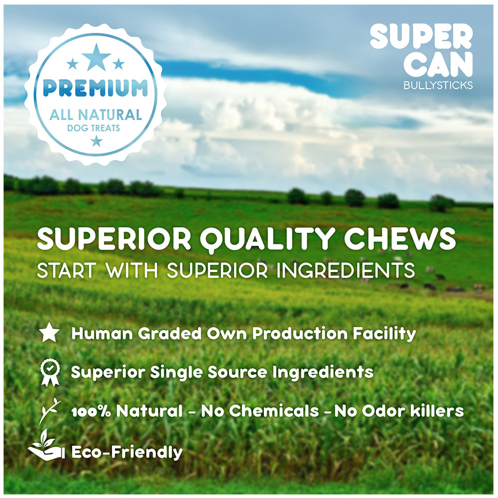 6 inch Beef Stuffed Gullet Stick