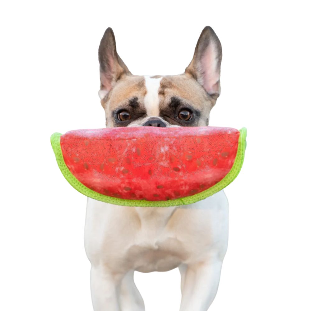 Tough Watermelon Dog Toy by BoxDog